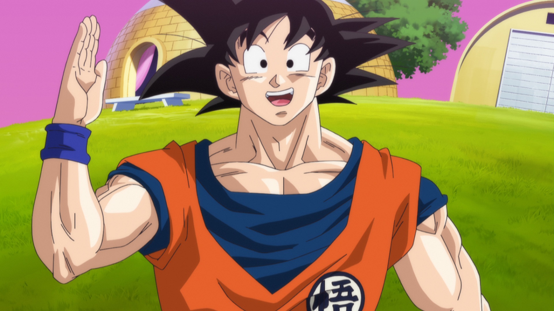Brasileiro chamado Goku nasce no Amazonas — Acesso GEEK